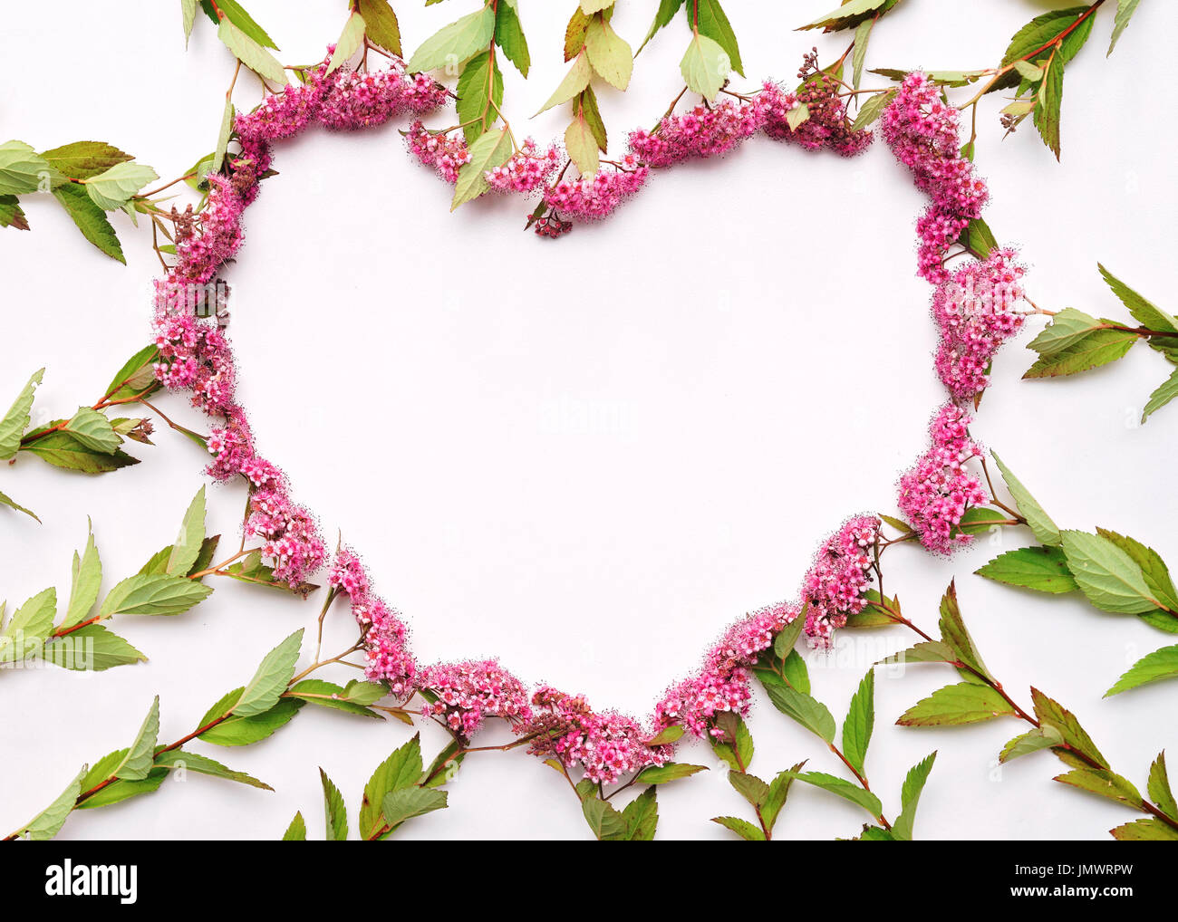 Heart shape frame with pink field flowers on the white background. Flat ...