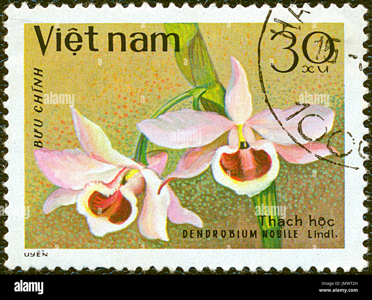 Vietnam - 1979: Postage stamp printed in Vietnam shows the flower ...