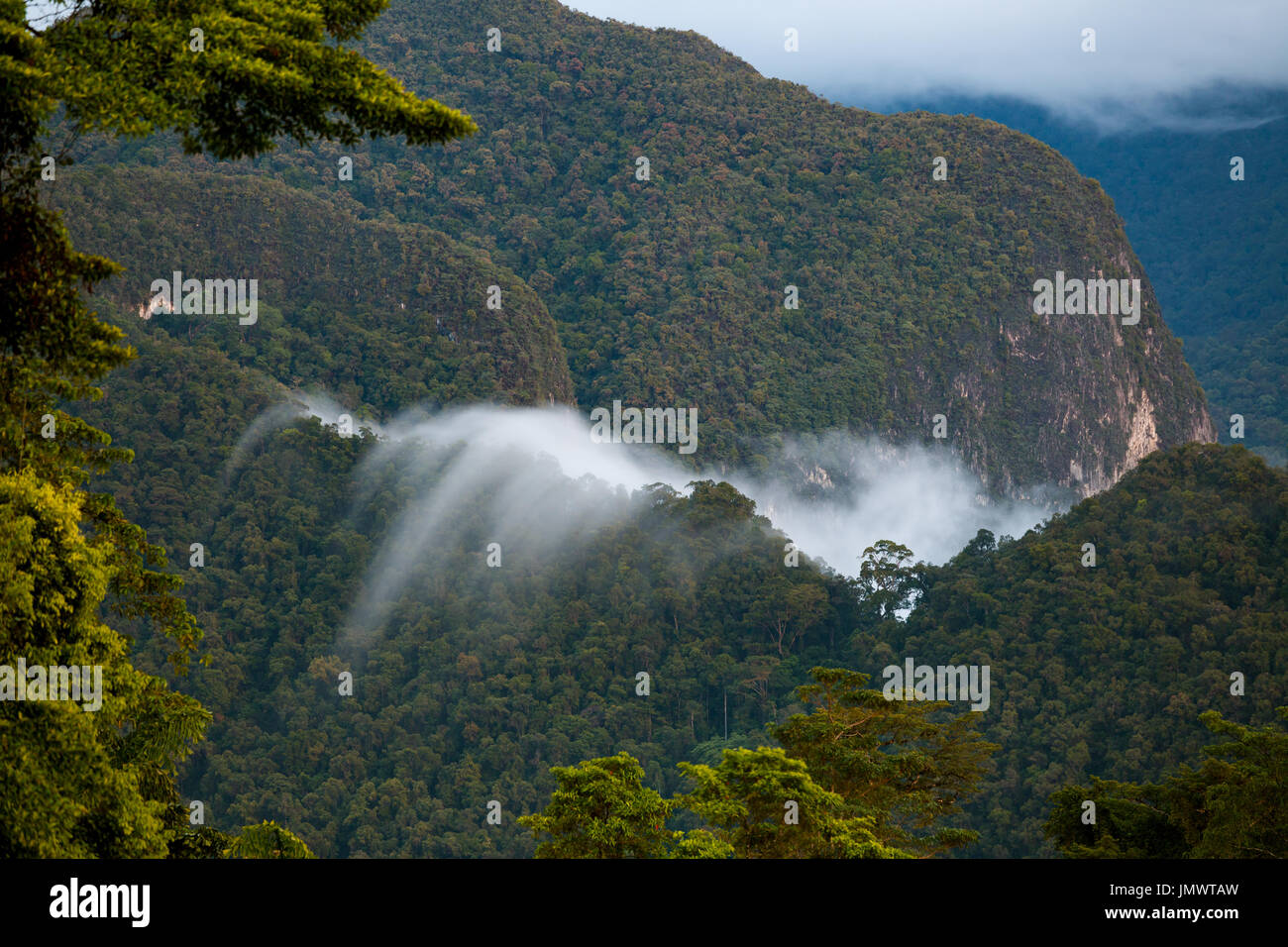 Exotic rainforest landscape Stock Photo - Alamy