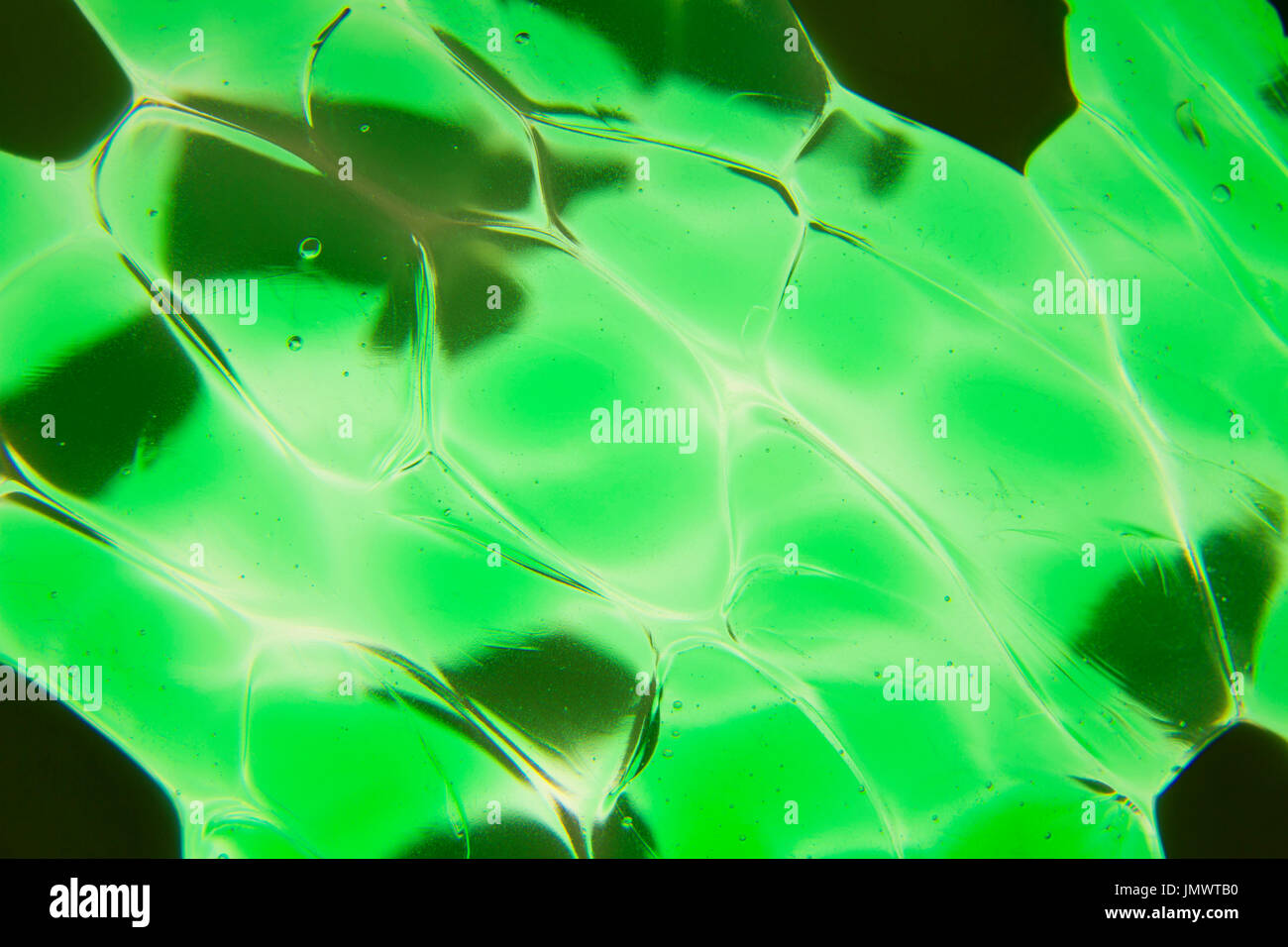 Blown glass float, Oregon Stock Photo - Alamy