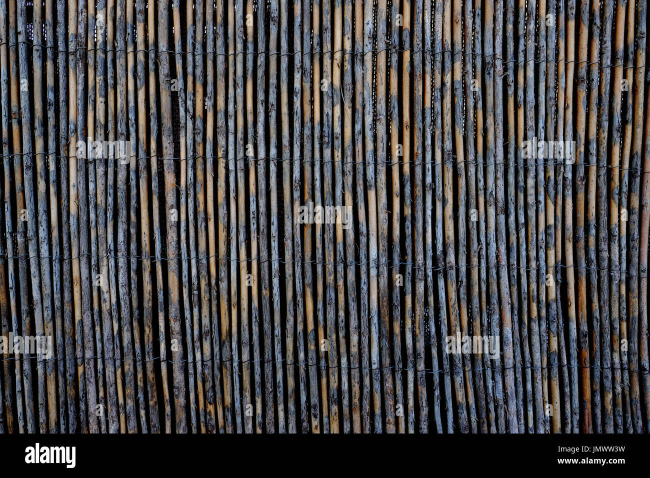 Dried bamboo fence texture background, bamboo texture panorama Stock ...