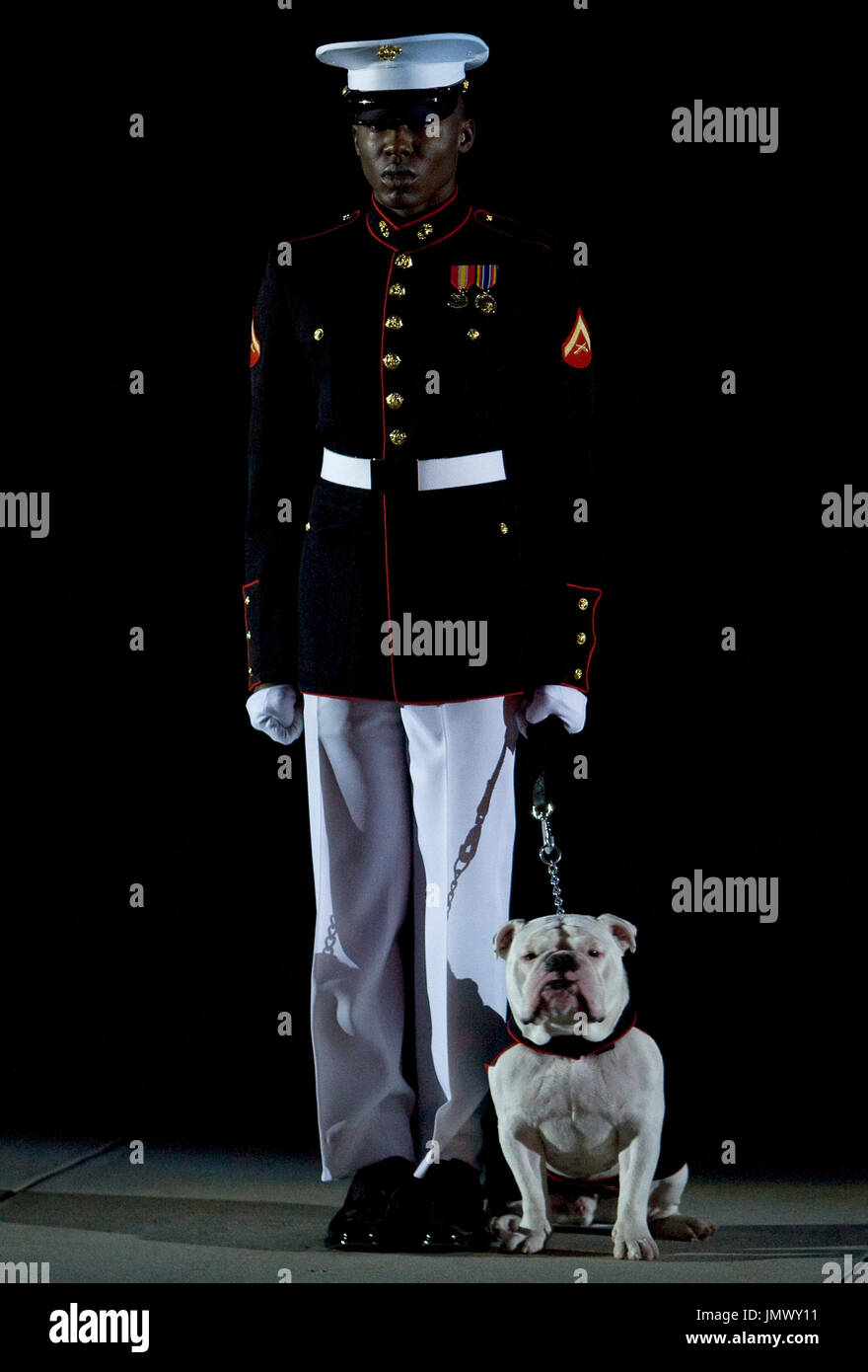 Washington, DC - July 24, 2009 -- Chesty the 13th, the Marine Corps ...