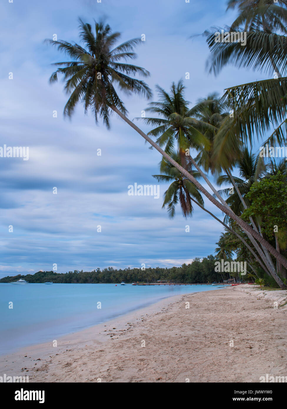 seascape of Thailand beach with coconut tree Stock Photo - Alamy