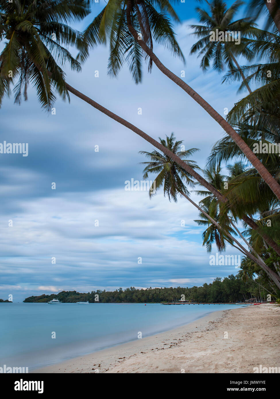 seascape of Thailand beach with coconut tree Stock Photo - Alamy