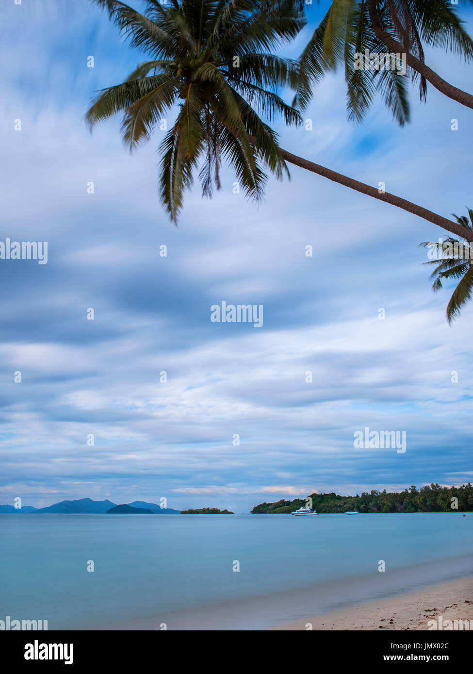 seascape of Thailand beach with coconut tree Stock Photo - Alamy