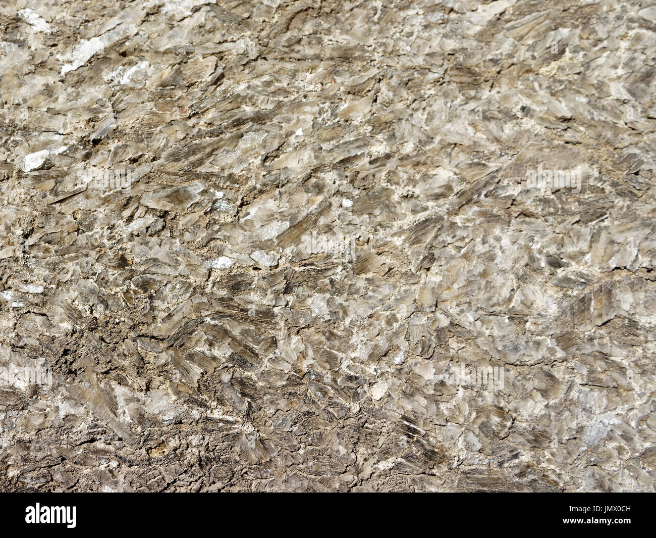 Old wall texture, Bologna, Emilia-Romagna region, Italy Stock Photo - Alamy