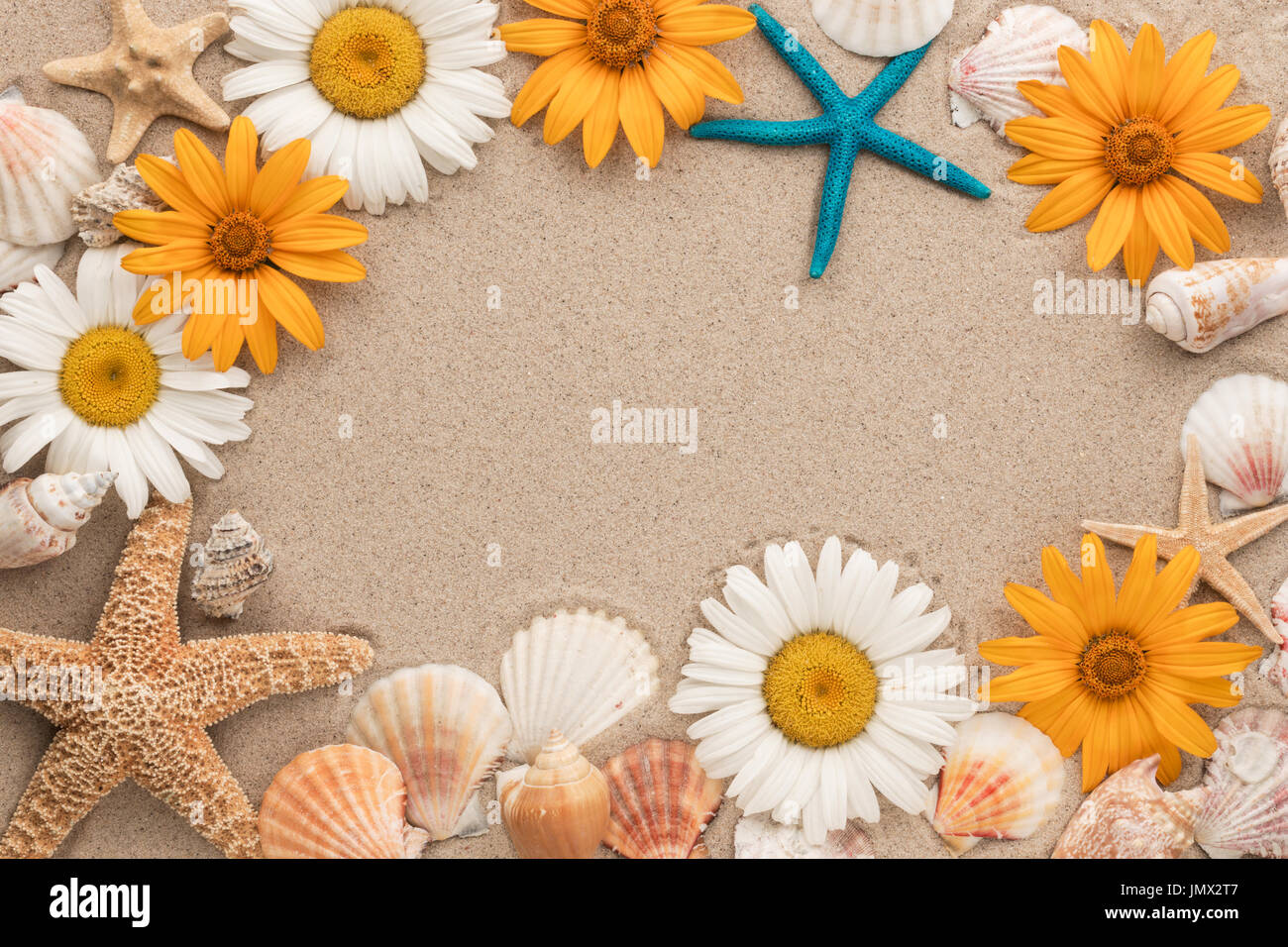 Beautiful frame of chamomiles, sea shells, sea stars on the sand. View ...