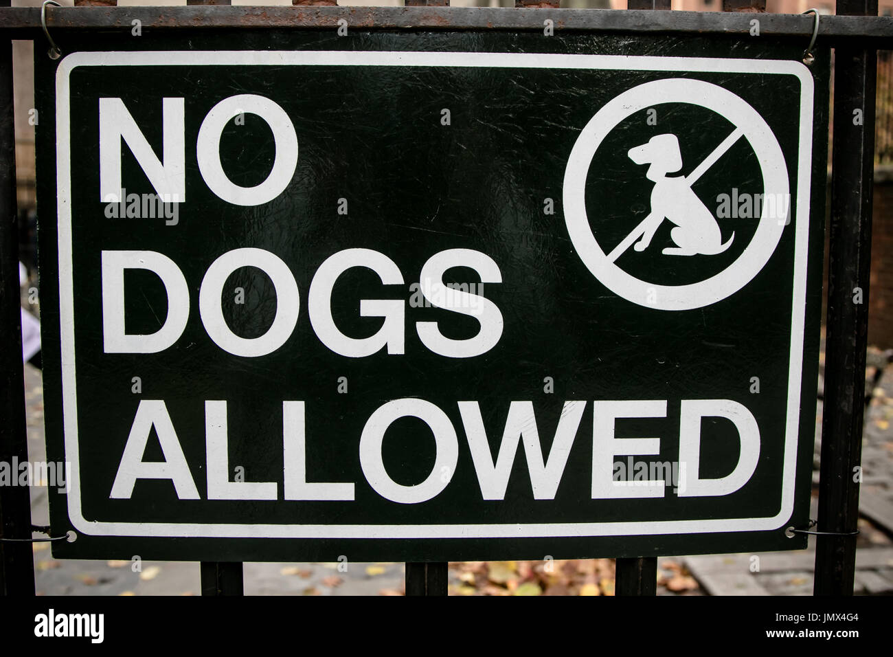"No dogs allowed" sign Stock Photo - Alamy