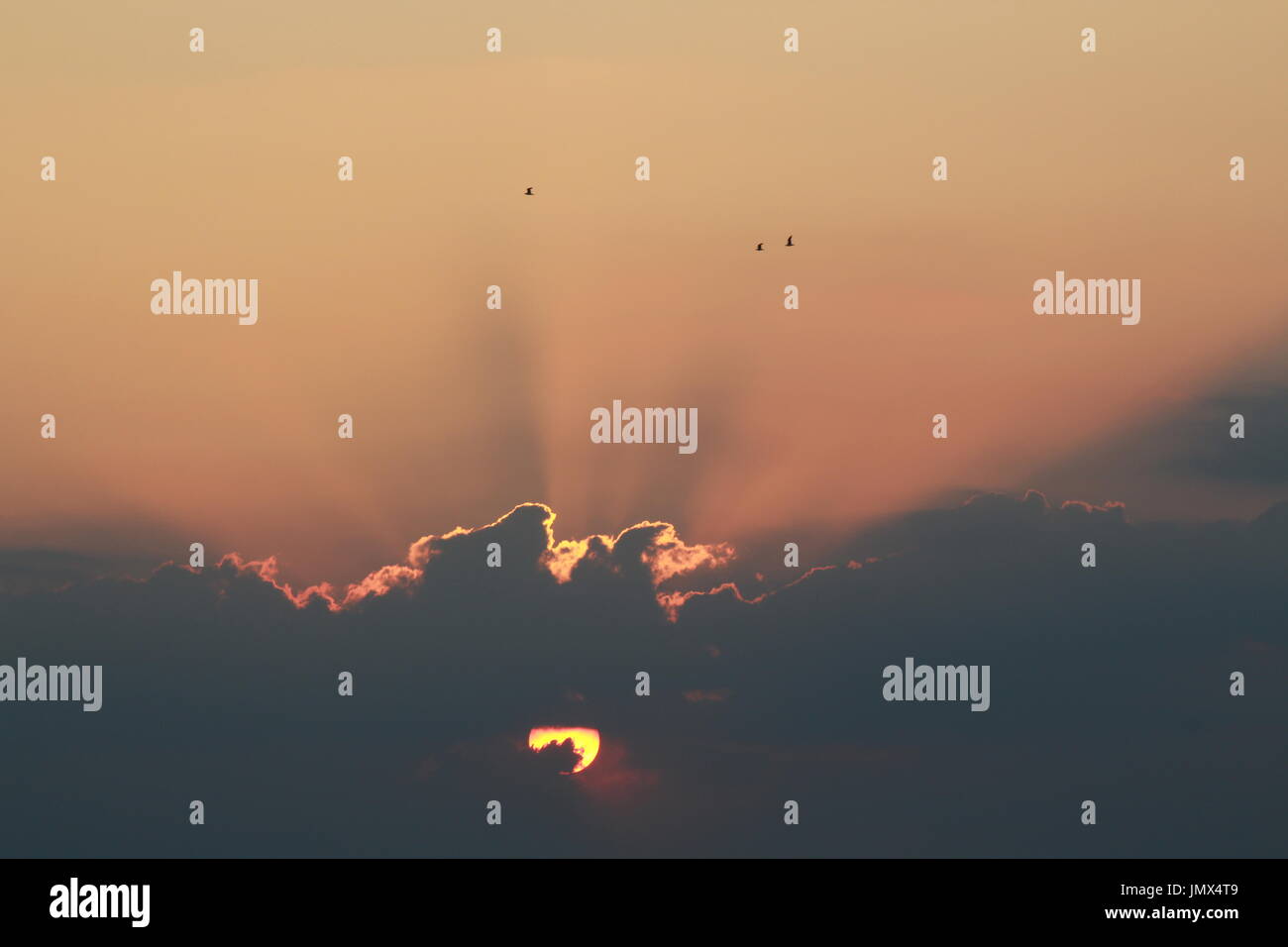 Overhead sun hi-res stock photography and images - Alamy