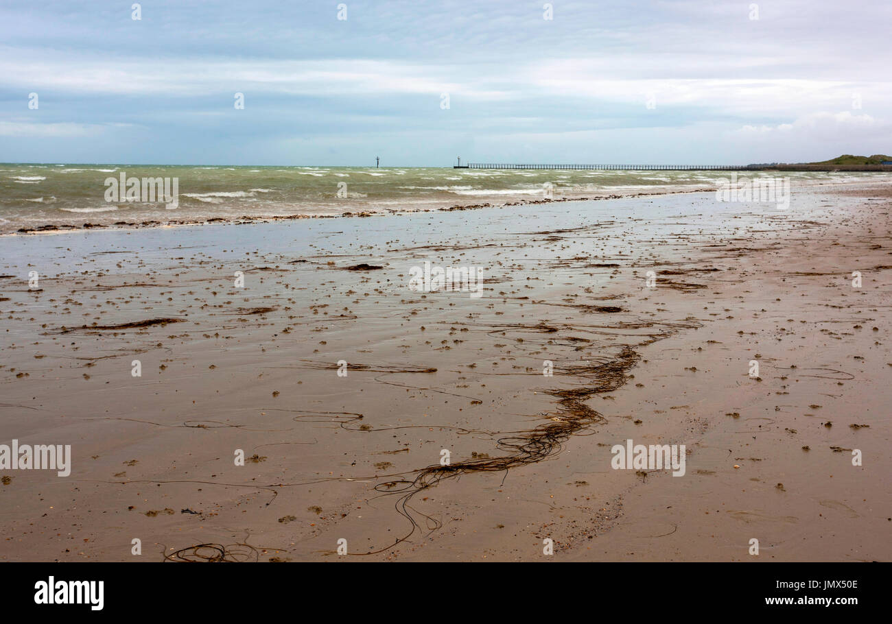 Seaweed on a beach hi-res stock photography and images - Alamy