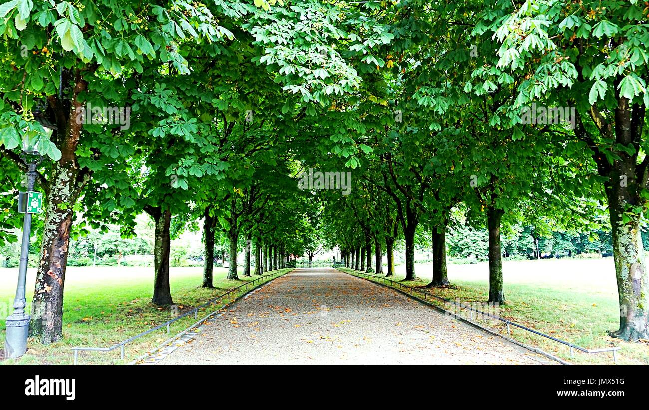 Straight lines in nature hi-res stock photography and images - Alamy