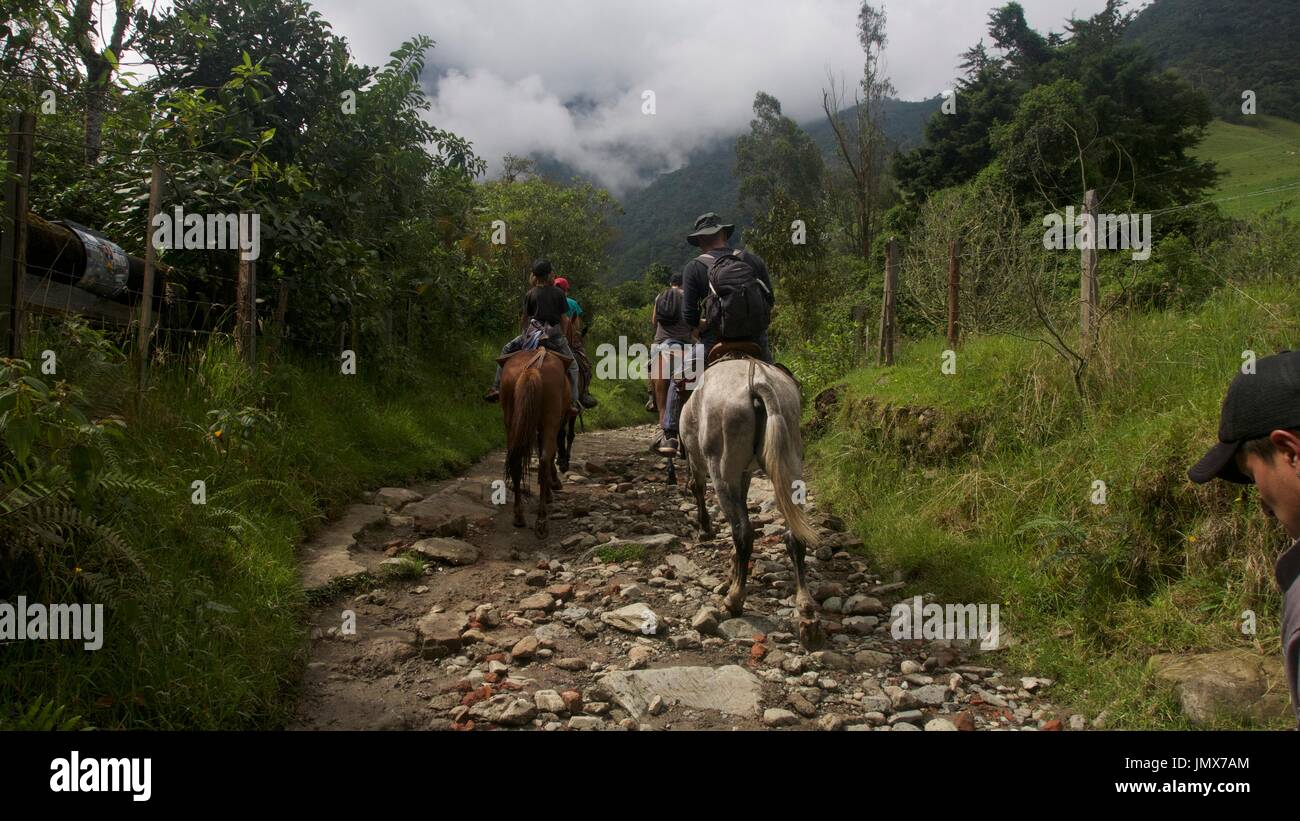 Horseback riding in the countryside Colombia Stock Photo - Alamy
