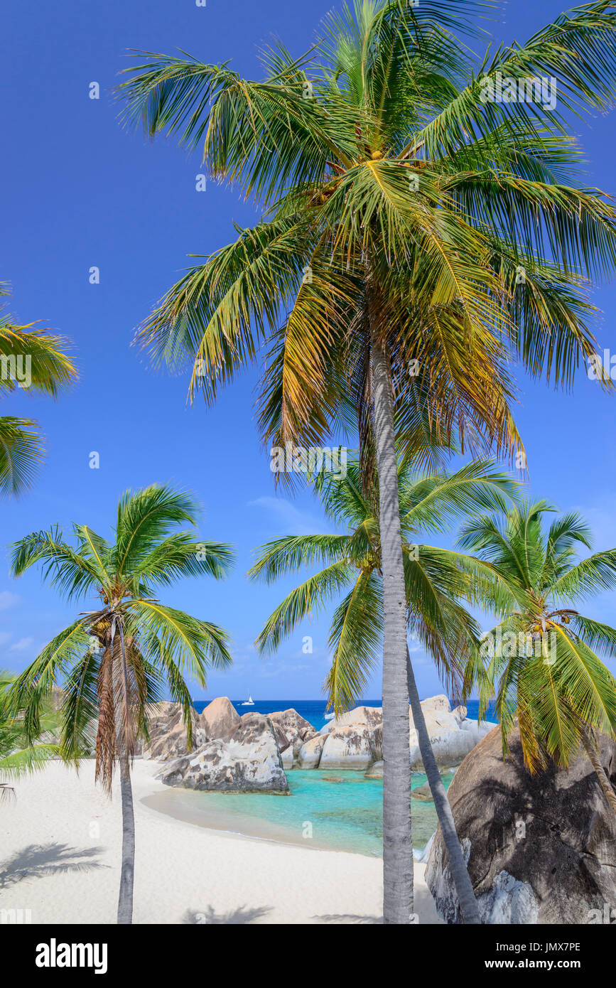 Spring Bay with palm tree and boulder by The Baths, The Baths, Spring ...