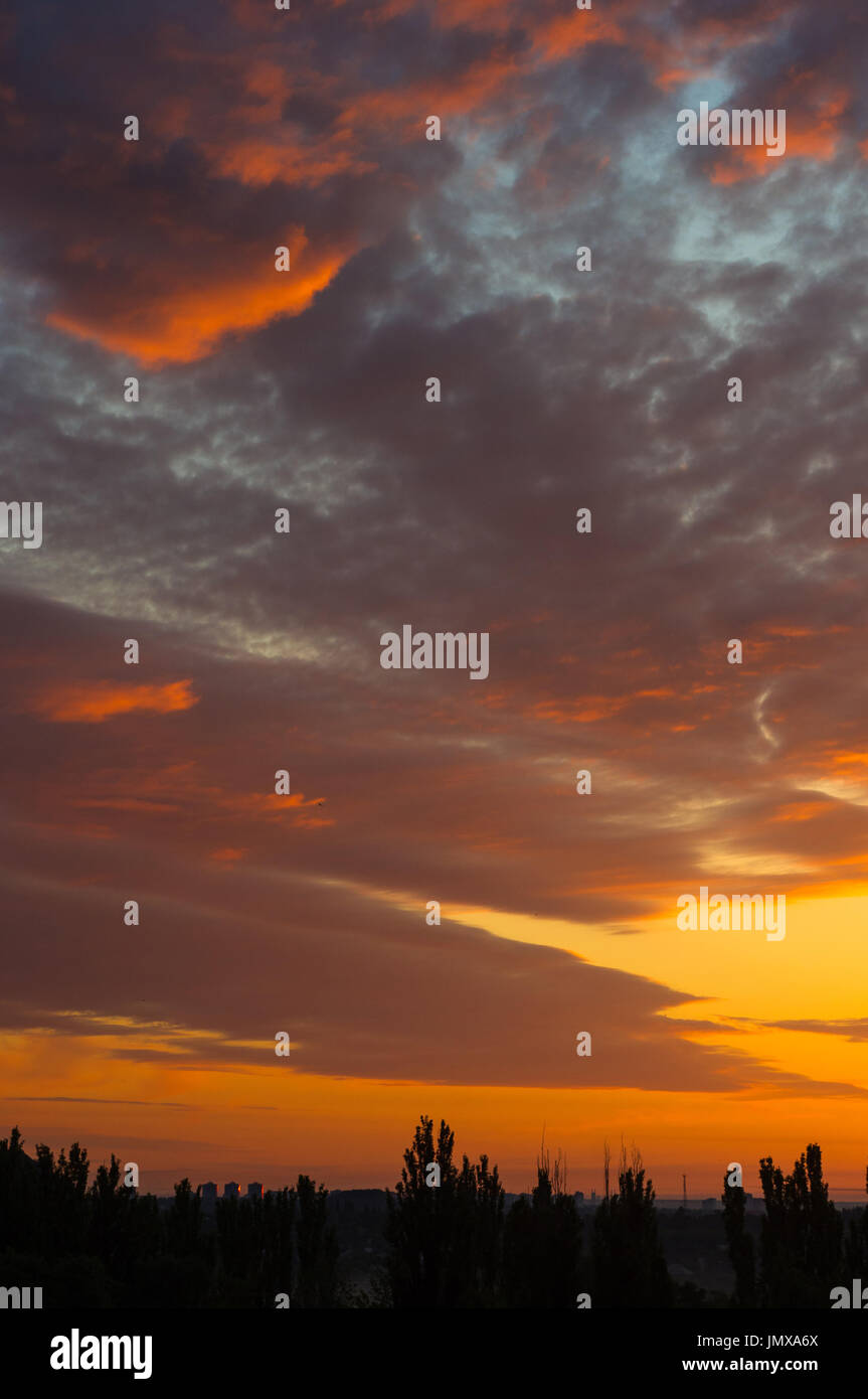 landscape with dramatic light - orange clouds and the outline of trees ...