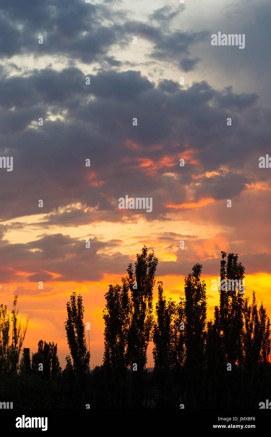 landscape with dramatic light - orange clouds and the outline of trees ...
