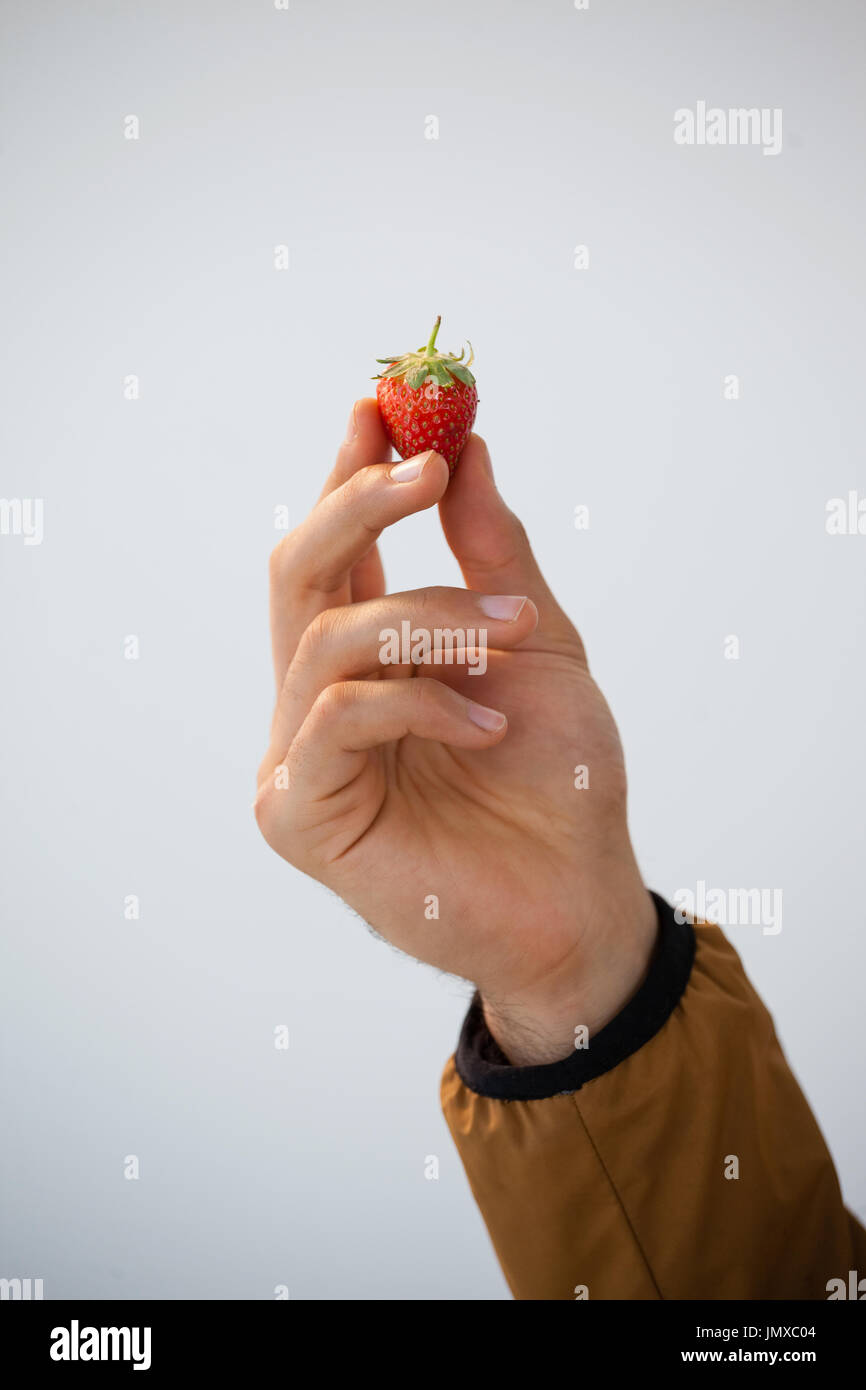 Close-up of hand holding strawberry against white background Stock ...