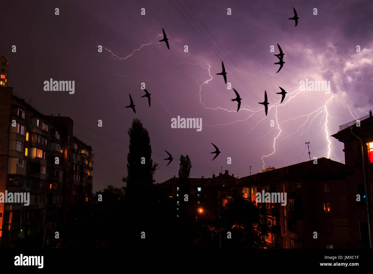 Birds are faster than lightning in a thunderstorm sky,city Stock Photo ...