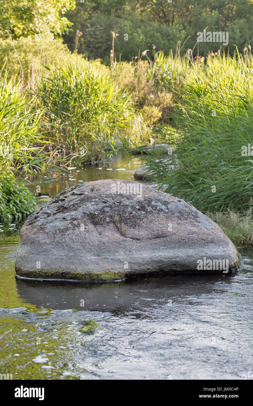 Landscape with big river stone in Aktove Canyon with Mertvovid river ...