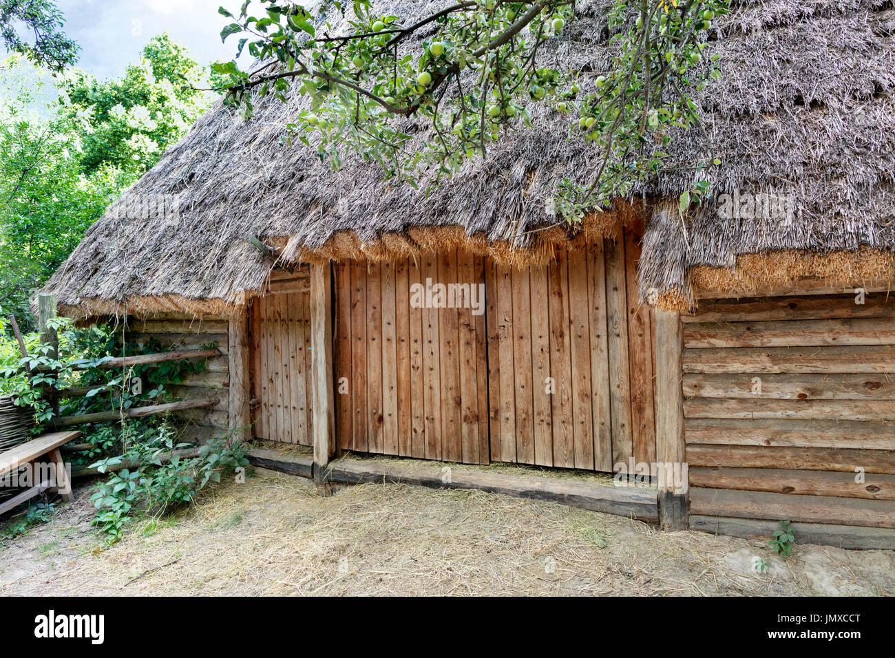 Old traditional Ukrainian rural barn with a thatched roof for dry grass ...