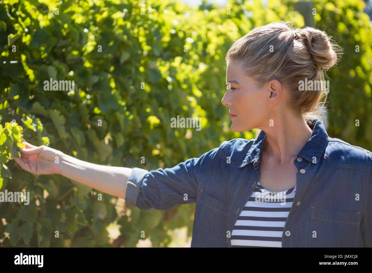 Female vintner standing in hi-res stock photography and images - Alamy