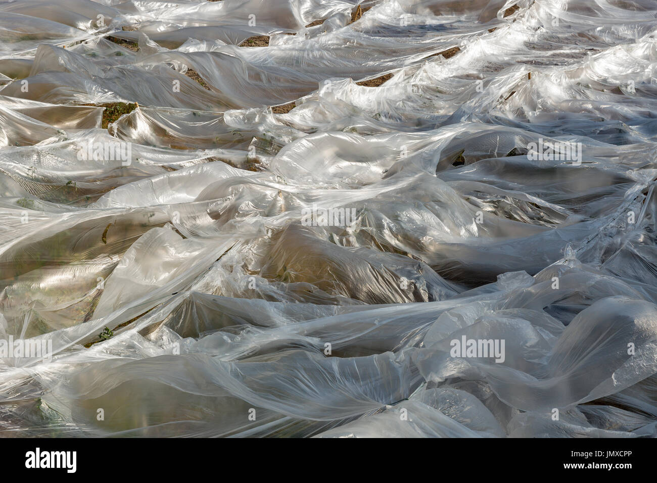 Polyethylene texture hi-res stock photography and images - Alamy