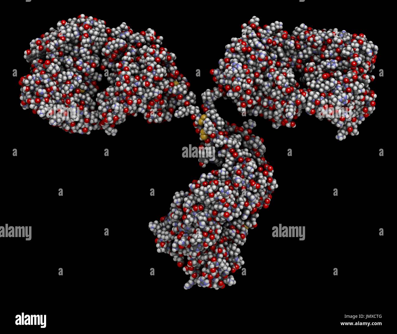 IgG2a monoclonal antibody (immunoglobulin). Many biotech drugs are ...