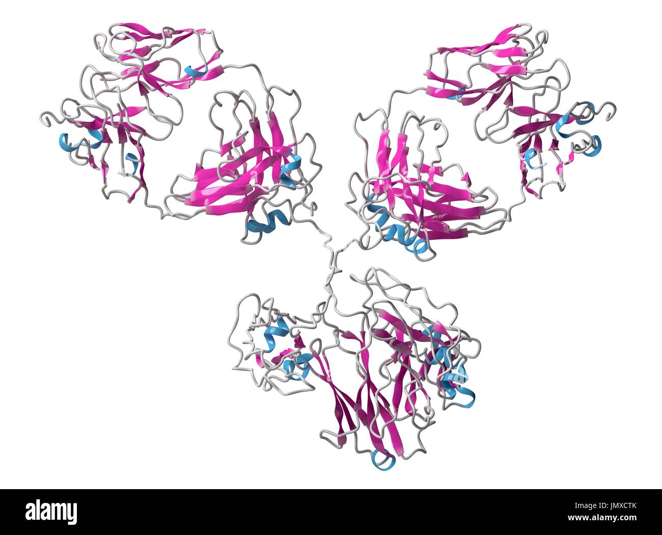 Monoclonal Antibody Cartoon