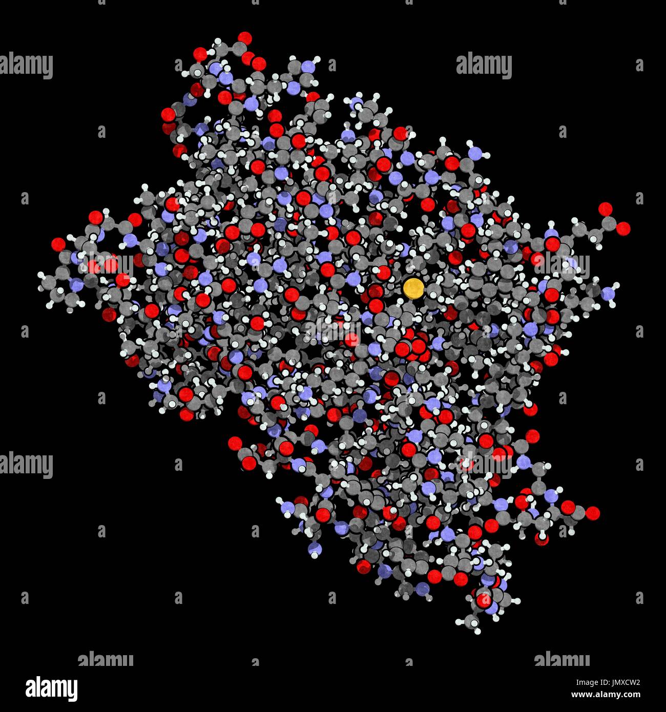 Birch pollen allergen protein Bet V1. Ball-and-stick model with ...