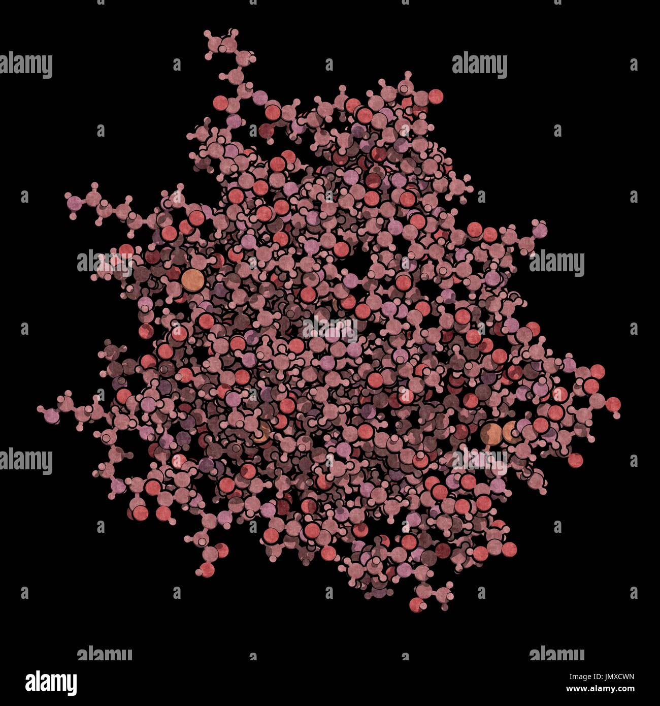 Milk cow rennet hi-res stock photography and images - Alamy