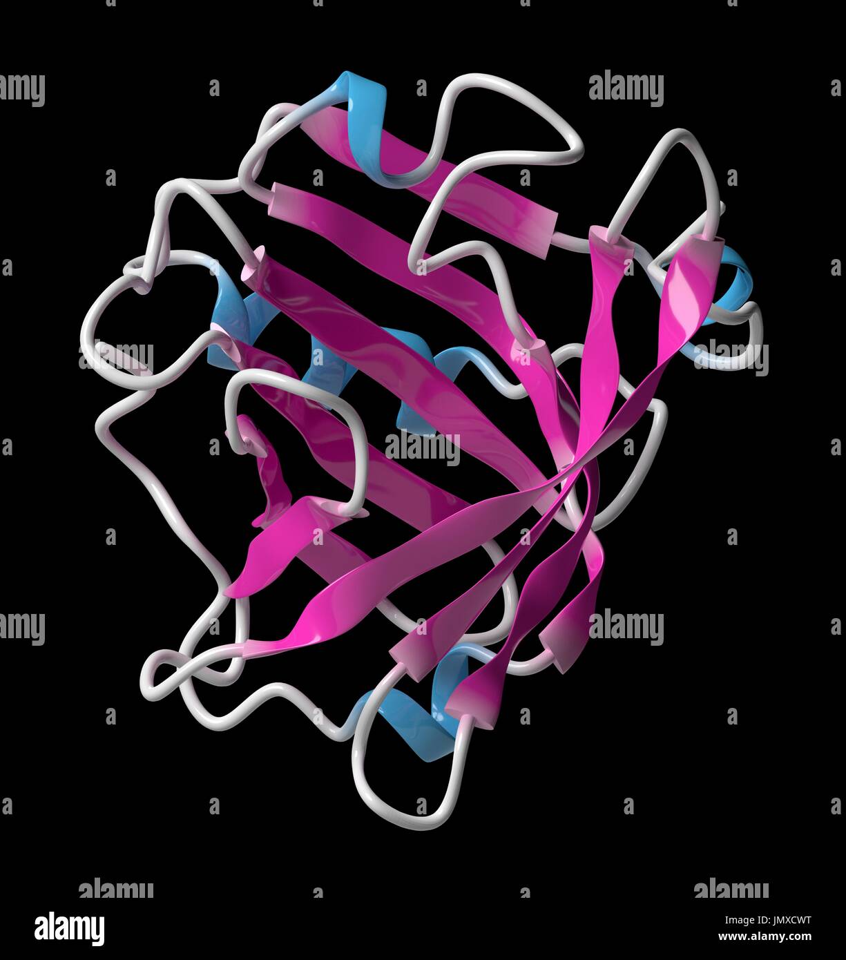 Bovine beta-lactoglobulin protein. Major whey protein, present in cow ...