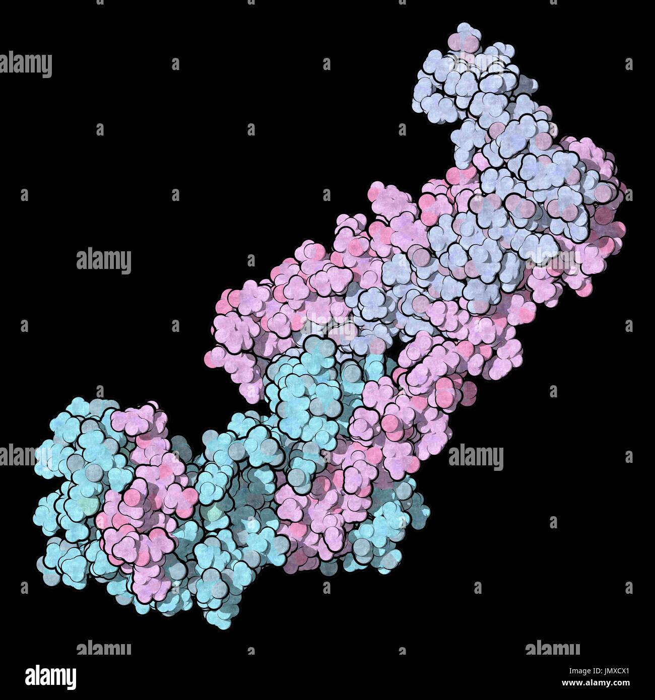 Structure of the human cardiac troponin core domain. Composed of three ...