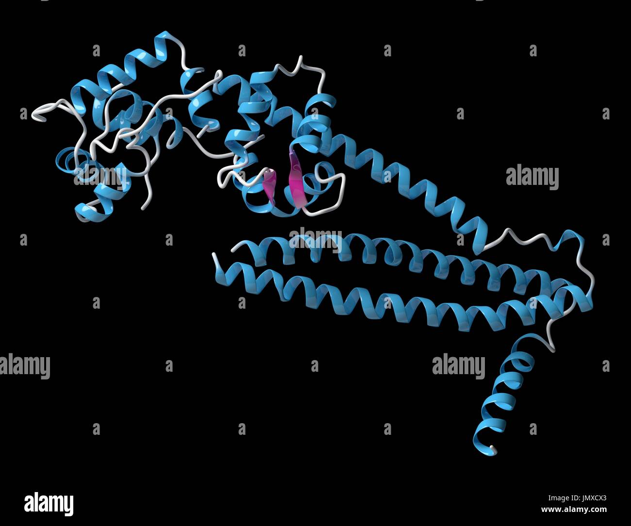 Troponin High Resolution Stock Photography and Images - Alamy