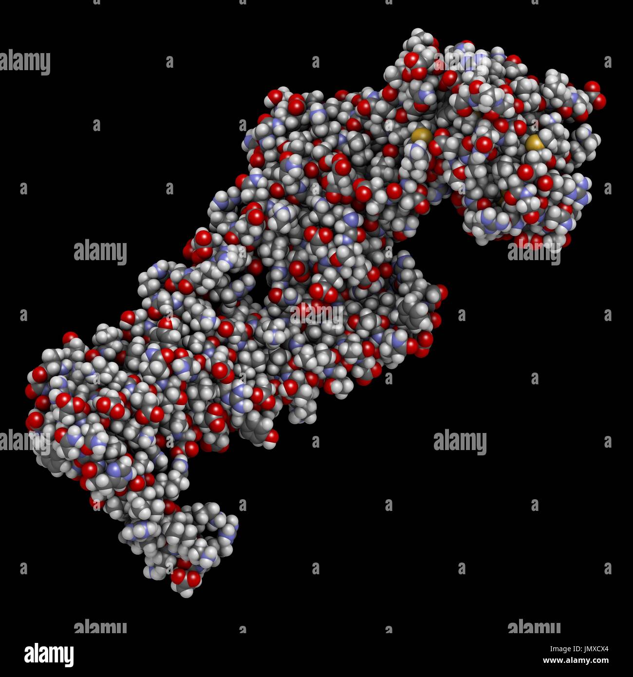 Structure of the human cardiac troponin core domain. Composed of three ...