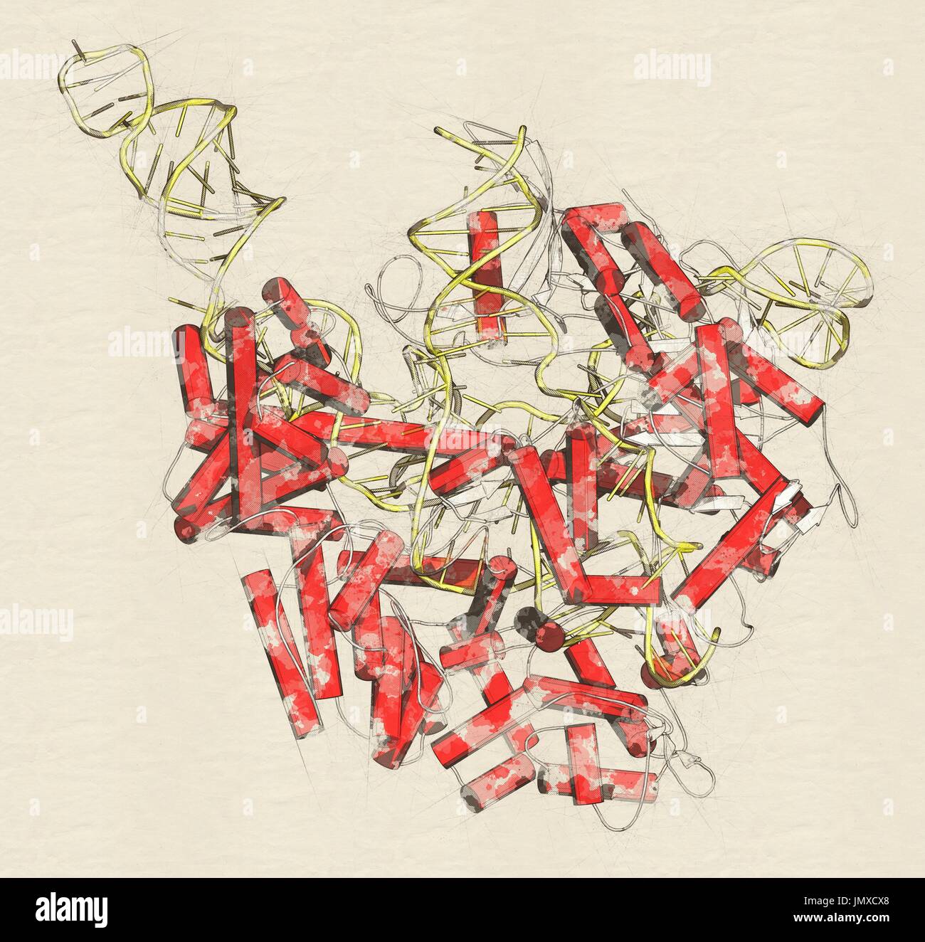 CRISPR-CAS9 gene editing complex from Streptococcus pyogenes. The Cas9 ...
