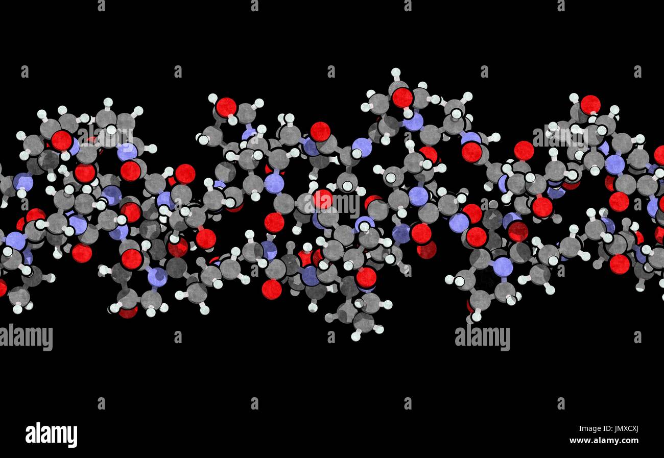 Collagen Protein Structure High Resolution Stock Photography and Images ...