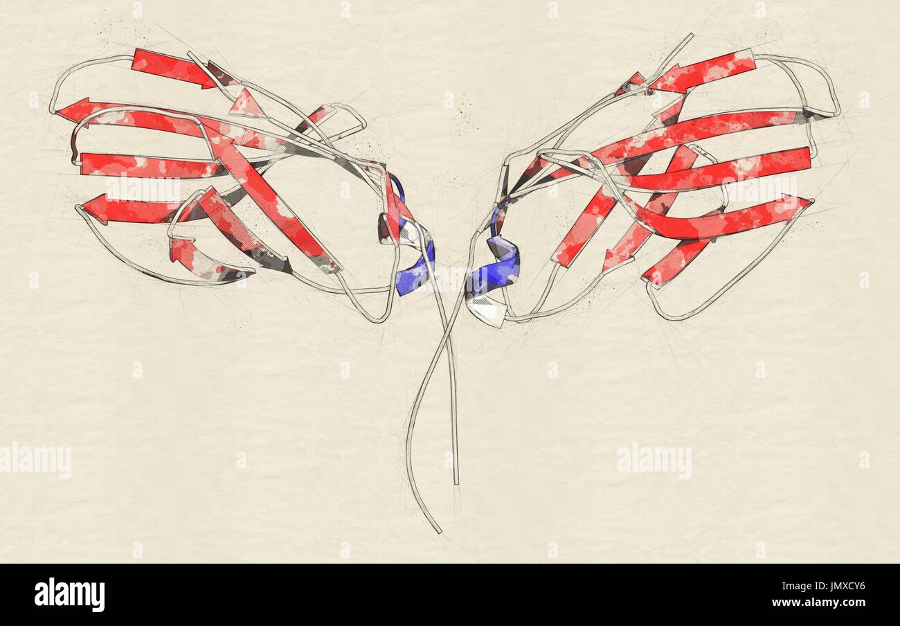 CTLA-4 (Cytotoxic T-lymphocyte-associated protein 4, CD152) protein ...