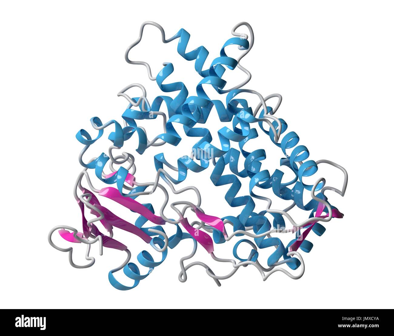 Cytochrome Stock Photos & Cytochrome Stock Images - Alamy