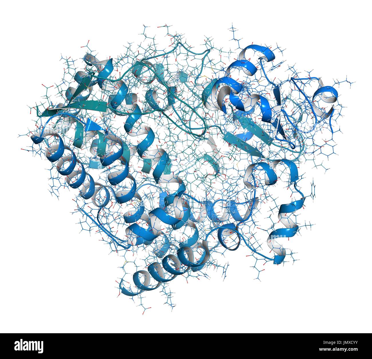 Cytochrome P450 (CYP3A4) liver enzyme in complex with the antibiotic ...