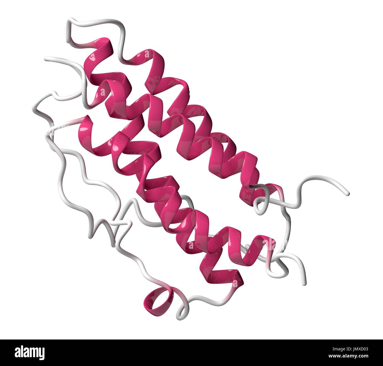 Erythropoietin (human EPO, epoetin) protein hormone. Stimulates ...