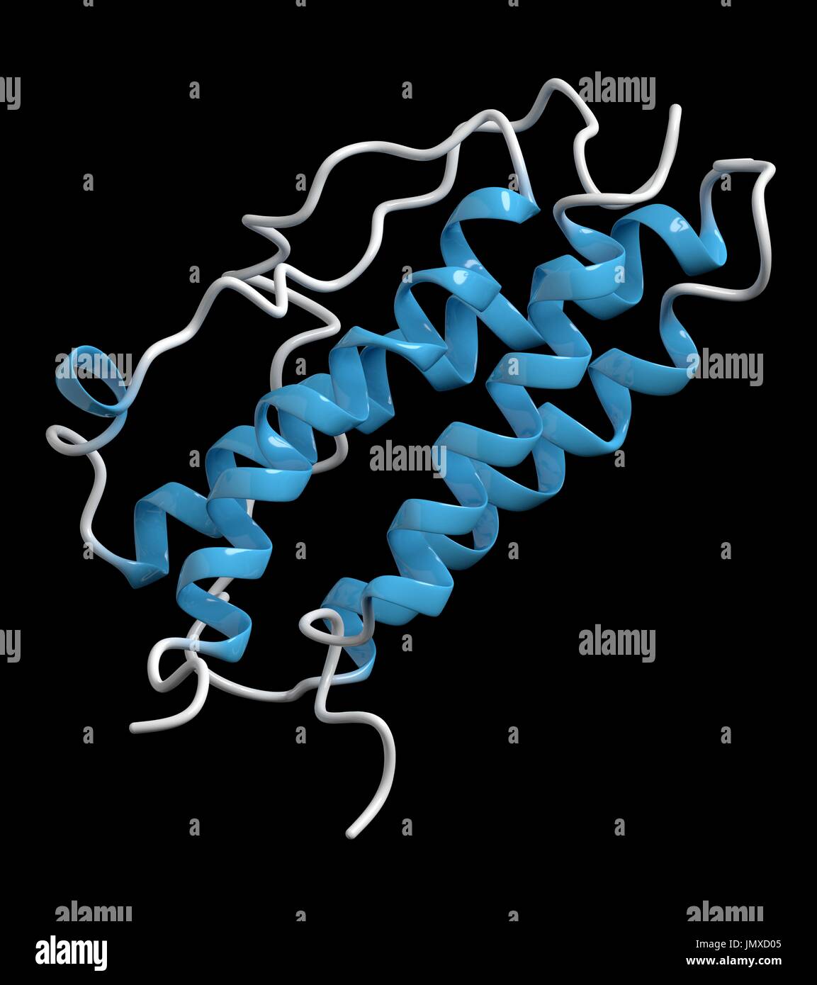 Erythropoietin (human EPO, epoetin) protein hormone. Stimulates ...