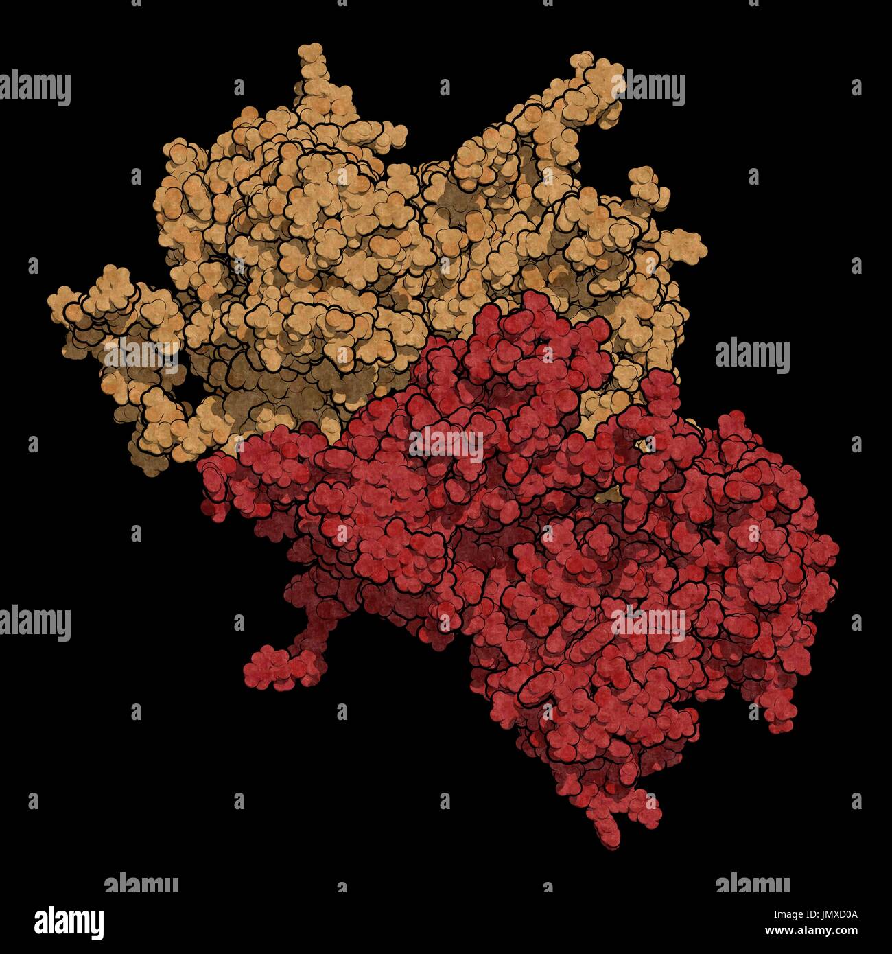 Factor viii blood clotting hi-res stock photography and images - Alamy