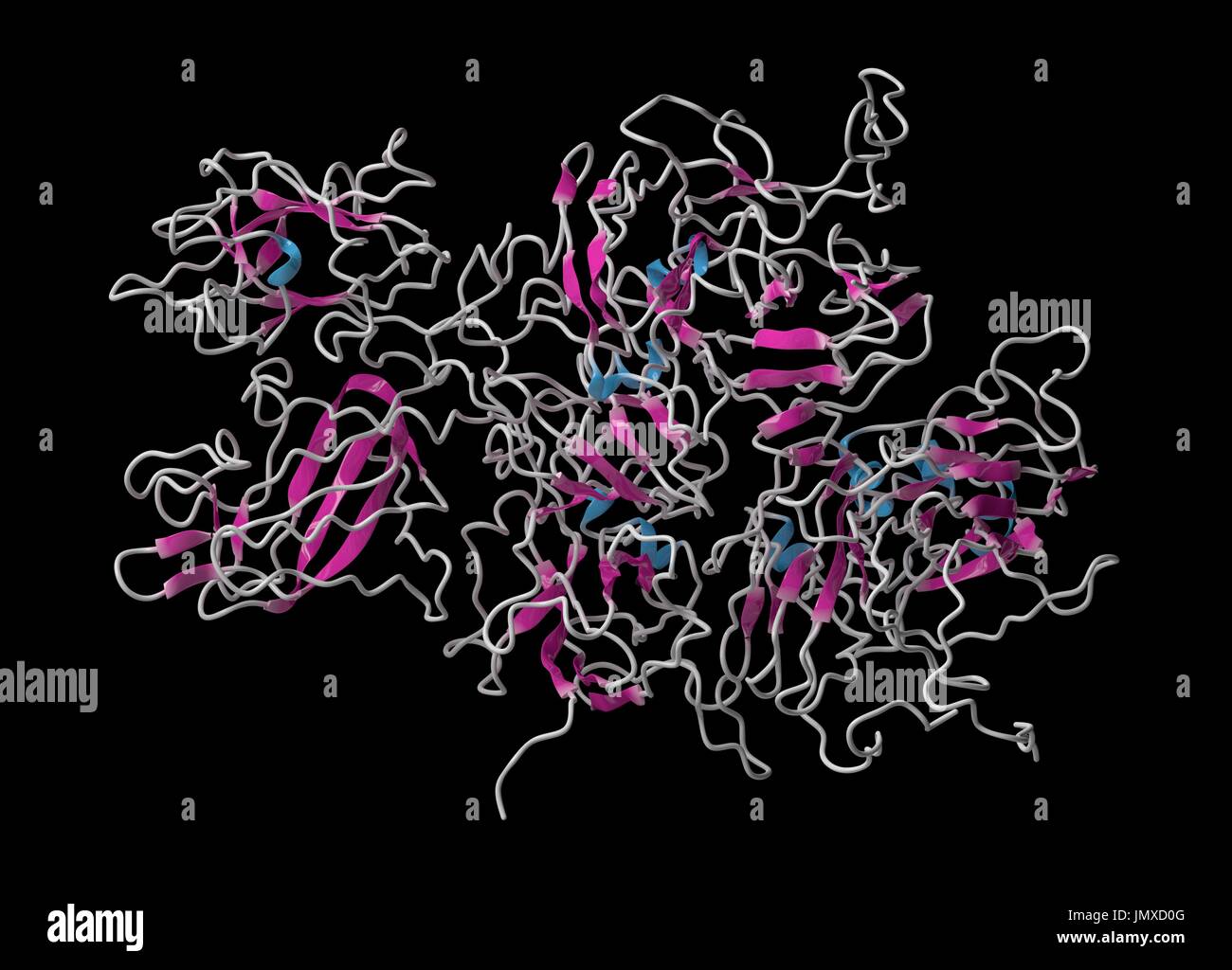 Coagulation factor VIII (fVIII) protein. Deficiency causes haemophilia ...