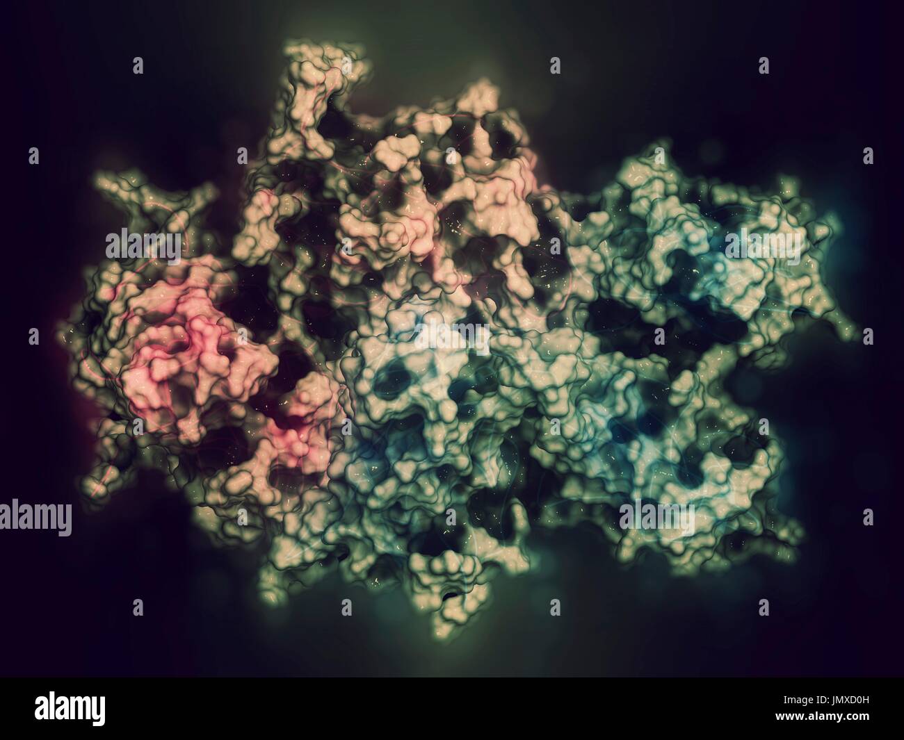 Coagulation factor VIII (fVIII) protein. Deficiency causes haemophilia ...