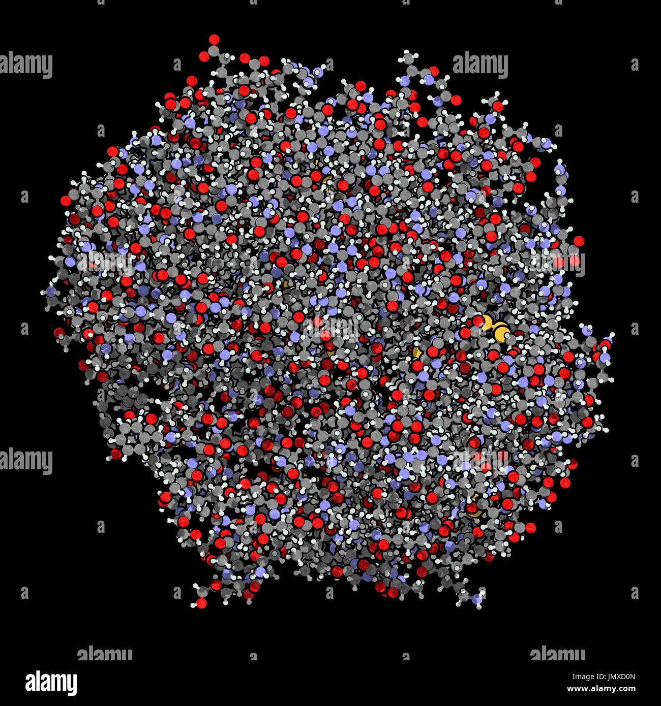 Gamma-glutamyltranspeptidase 1 (GGT 1, gamma-GT, gamma-glutamyl ...