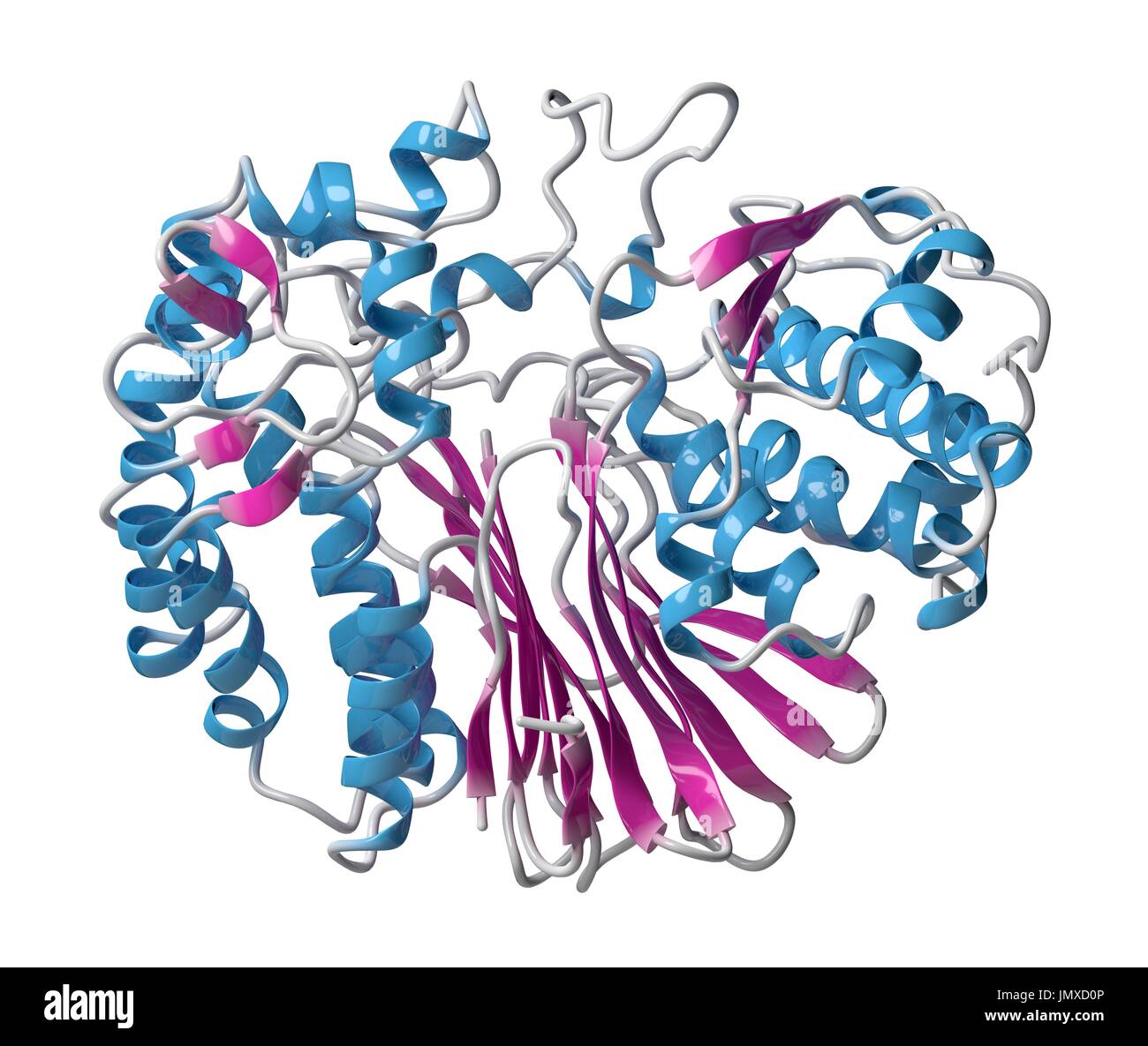 Secondary alcohol molecular model hi-res stock photography and images ...