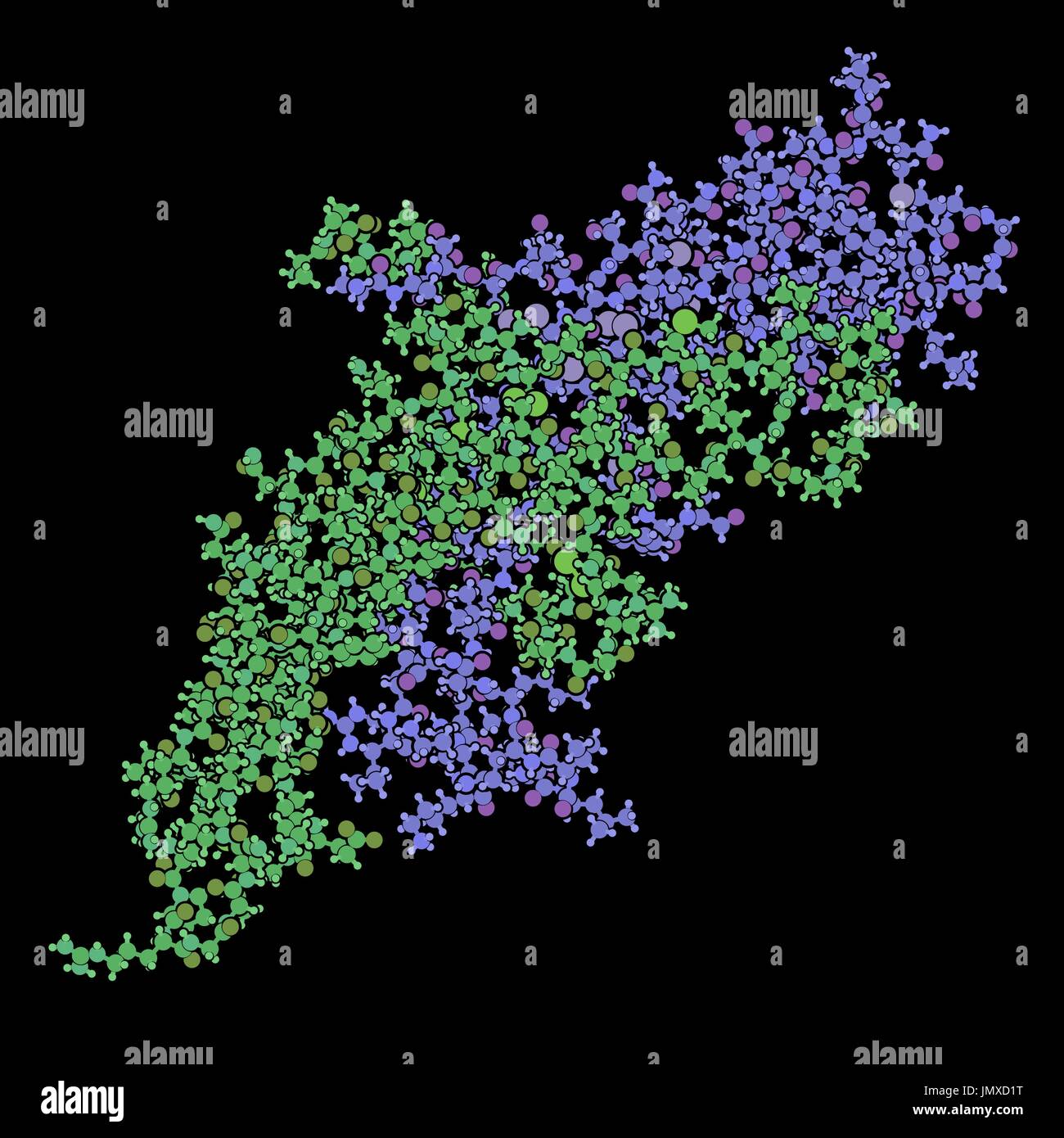 Human Chorionic Gonadotropin (hCG) glycoprotein hormone, chemical ...