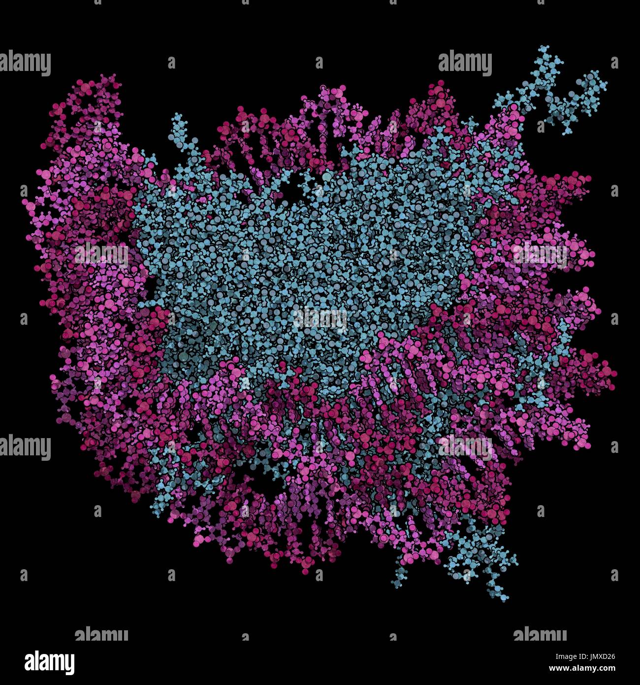 Nucleosome hi-res stock photography and images - Alamy