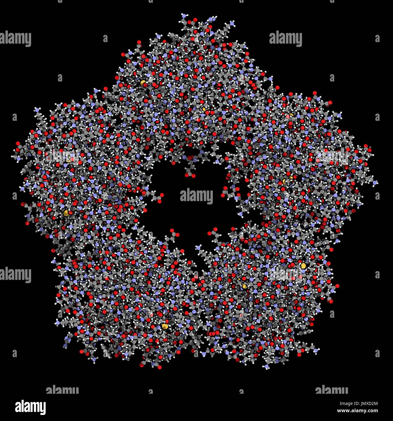 C-reactive protein (CRP, human) inflammation biomarker protein ...