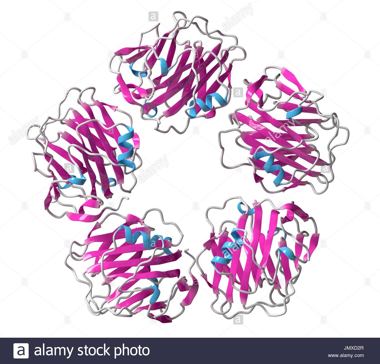 Plasma Protein Stock Photos & Plasma Protein Stock Images - Alamy