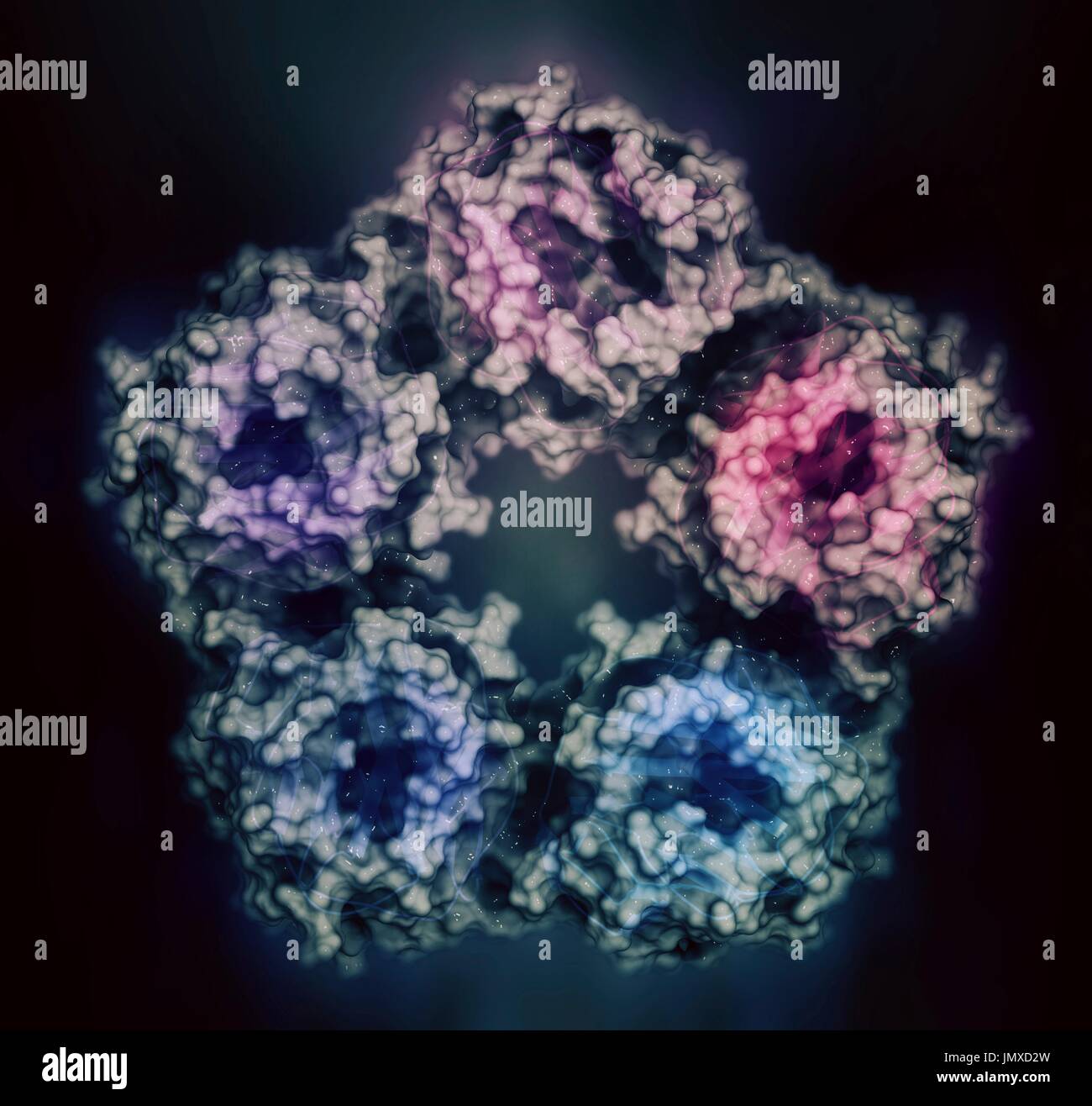 Human protein cardiovascular hi-res stock photography and images - Alamy